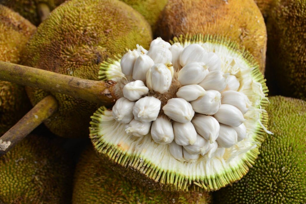 Exotic Filipino Fruits Joe Philippines