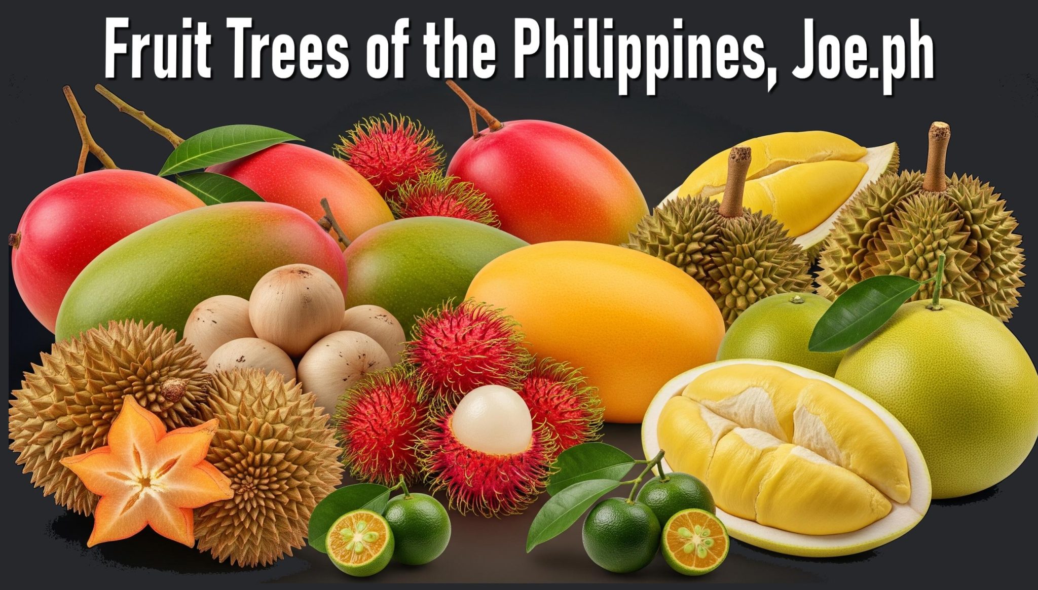 Fruit Trees of the Philippines Joe Philippines